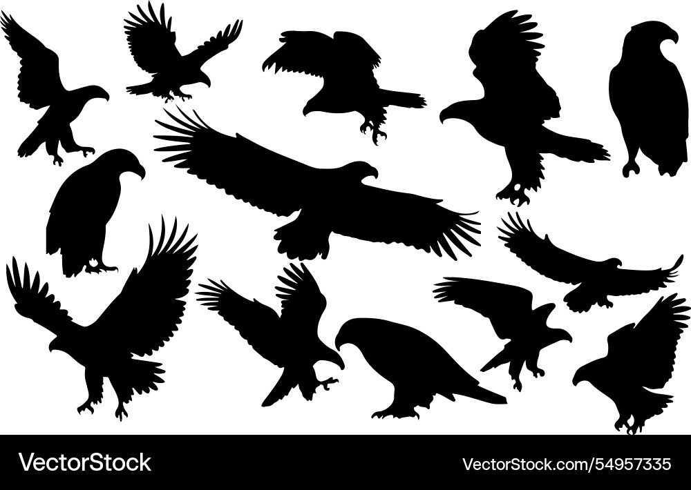 Regal eagle silhouettes design collection Vector Image