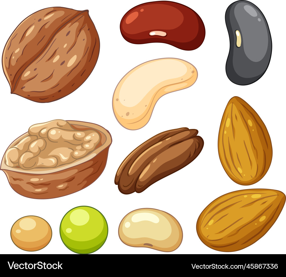 Bean nut pea collection Royalty Free Vector Image