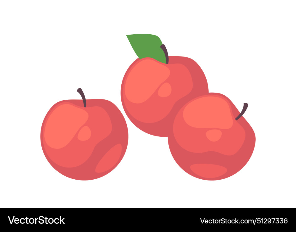 Three red apples with one green leaf on a white Vector Image