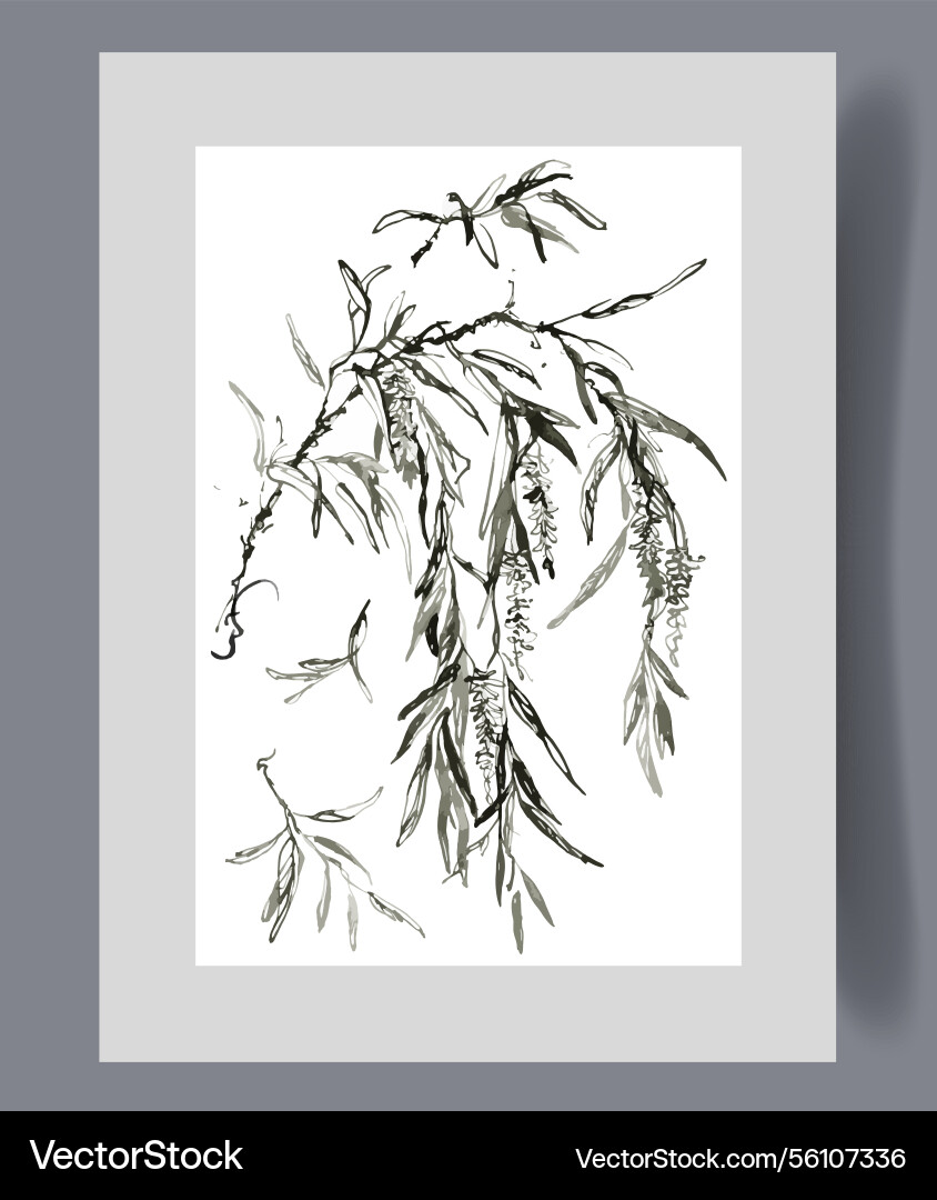 Willow tree twig with hanging petals and tassels Vector Image