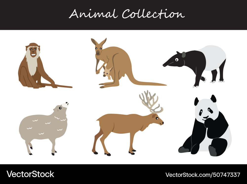 Animals collection isolated on white background Vector Image