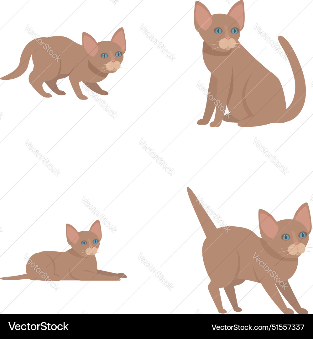 Cartoon burmese cats in various poses Royalty Free Vector
