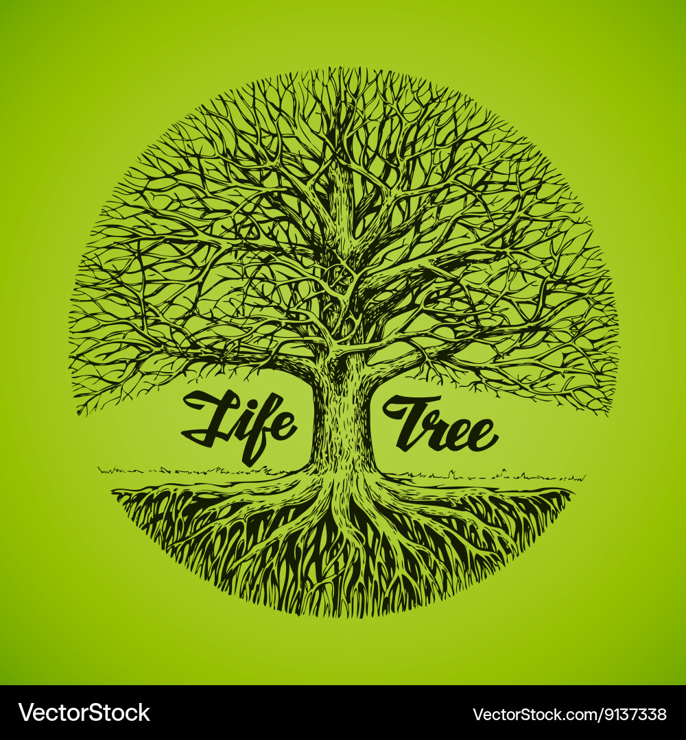 Hand drawn sketch tree with roots ecology Vector Image