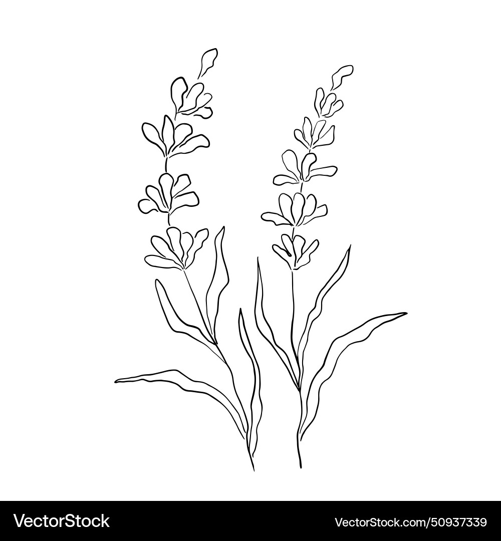 Doodle contour lines botanical flower Royalty Free Vector
