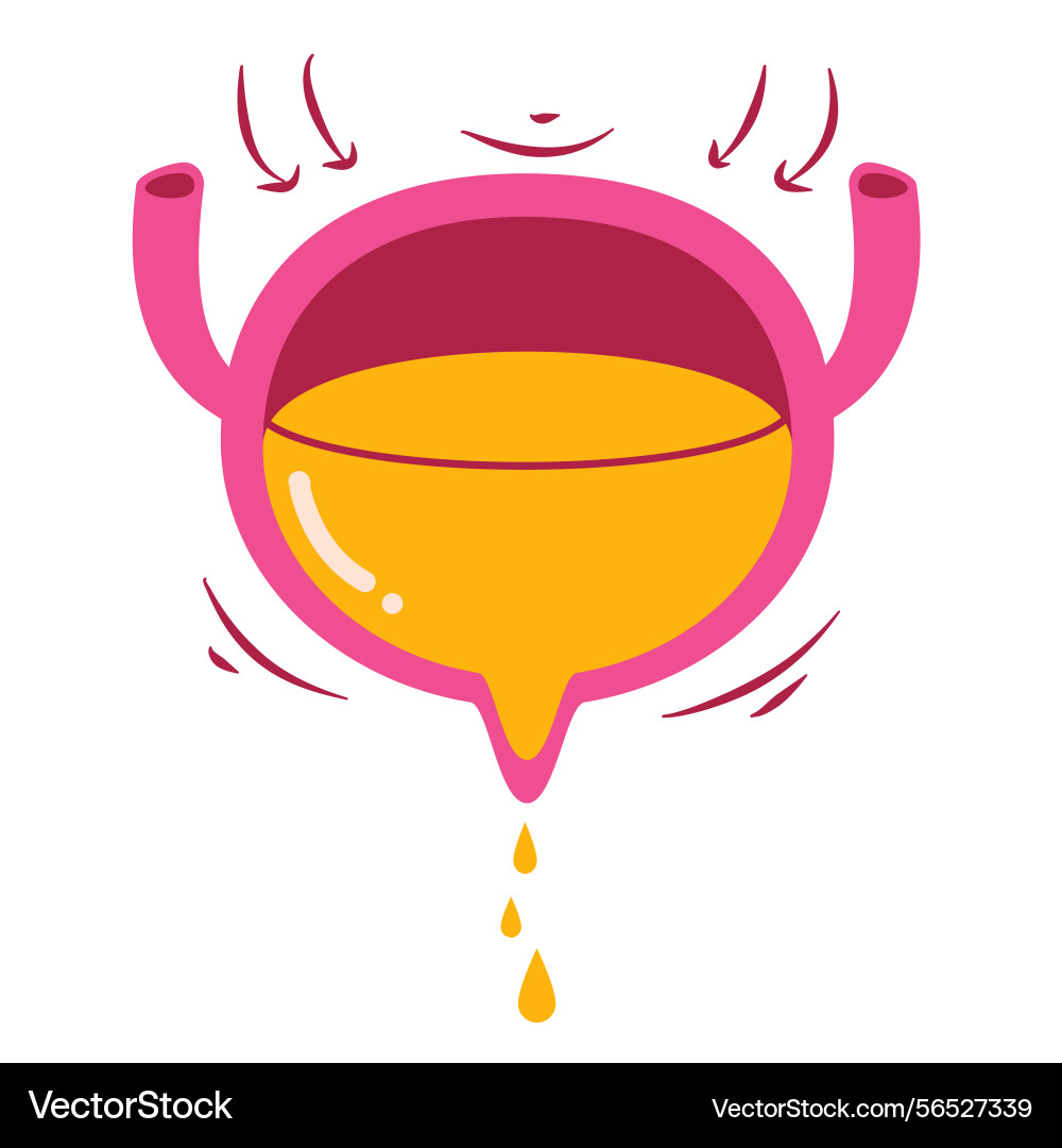 Urinary incontinence Royalty Free Vector Image