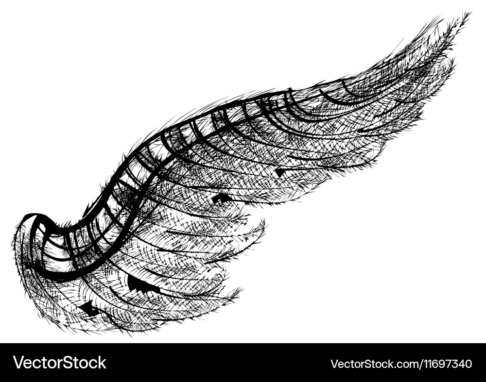 Black wing Royalty Free Vector Image - VectorStock