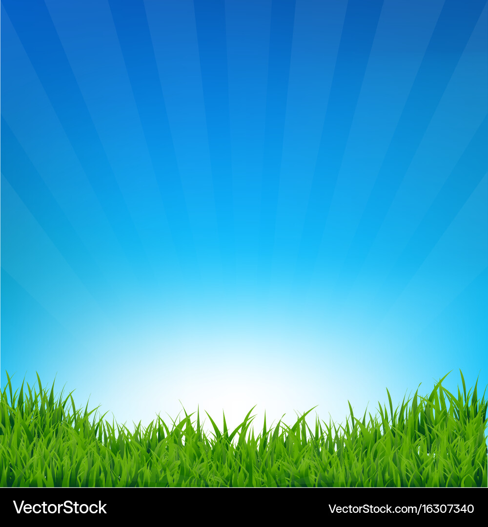 Blue Sky Background With Grass Sky With Grass Background Hi Res Stock
