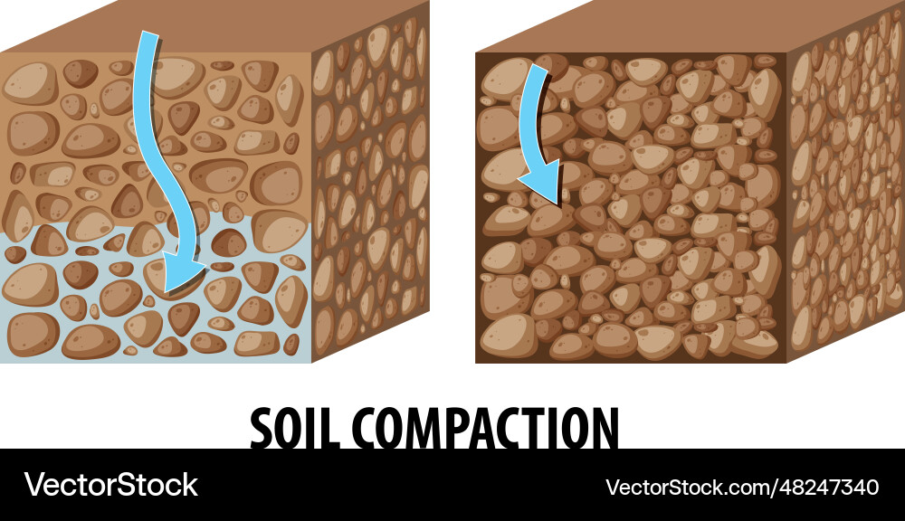 Comparison of soil compaction density in science Vector Image