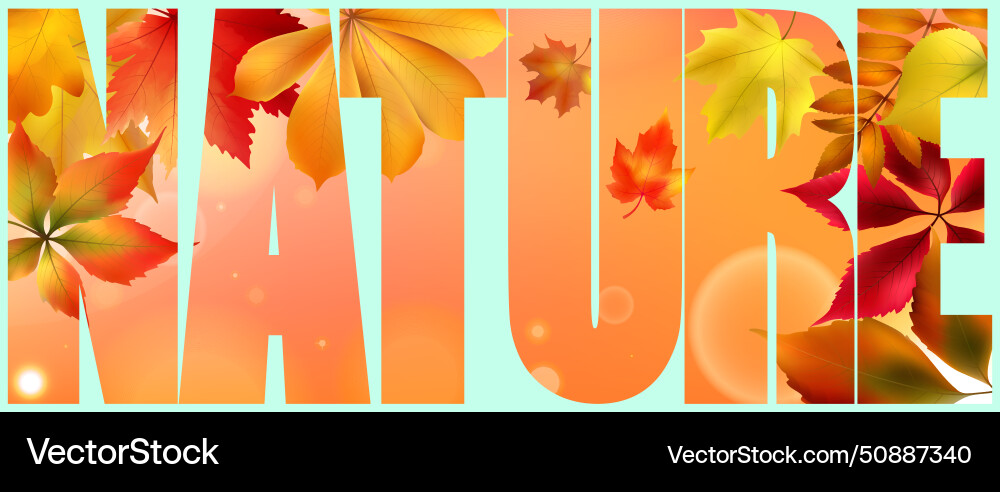 Nature autumn leaf fall Royalty Free Vector Image