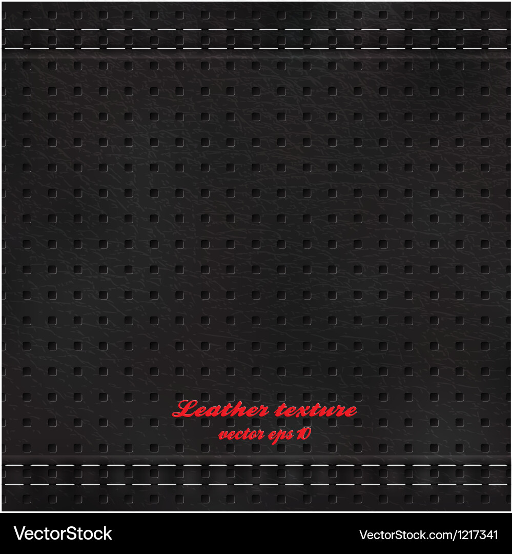 Black Leather Texture Royalty Free Vector Image