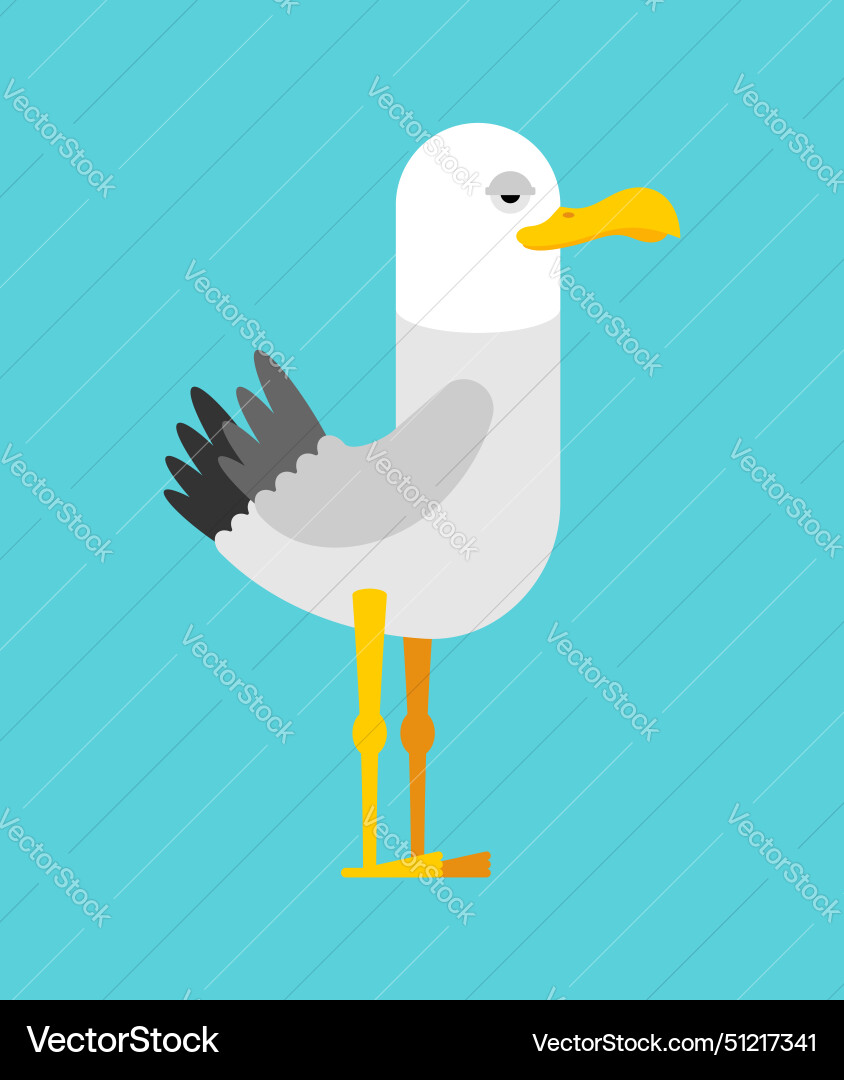 Gull cartoon isolated seagull sea bird Royalty Free Vector