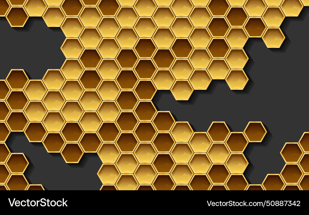 Honeycomb from a bee hive Royalty Free Vector Image