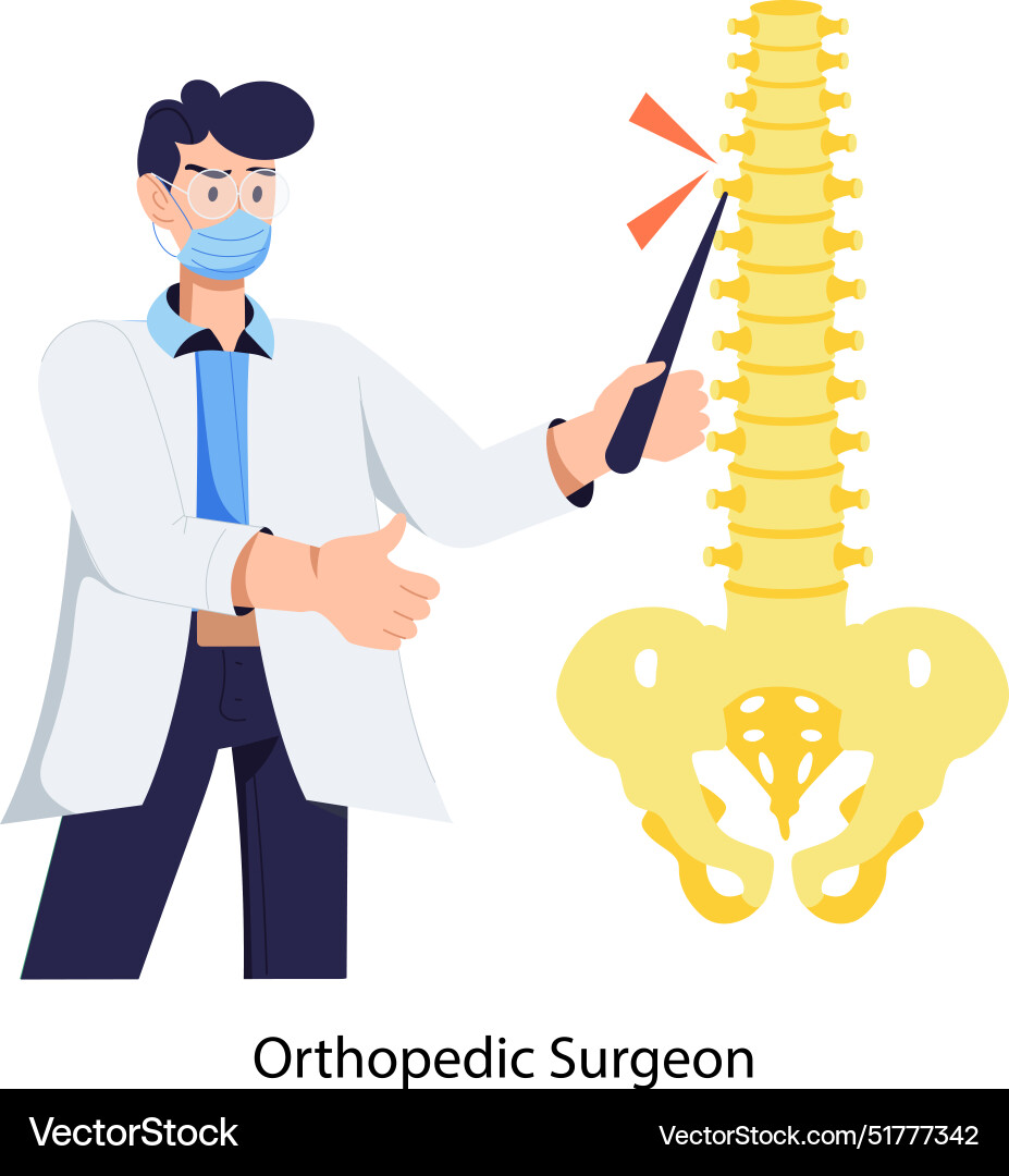 Orthopedic surgeon Royalty Free Vector Image - VectorStock