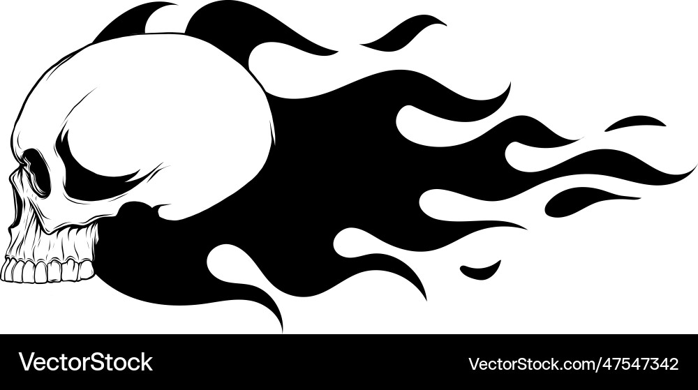 Outline human skull design Royalty Free Vector Image