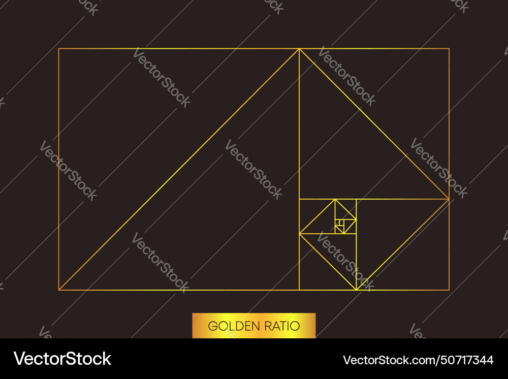 Golden ratio figure in proportion Royalty Free Vector Image