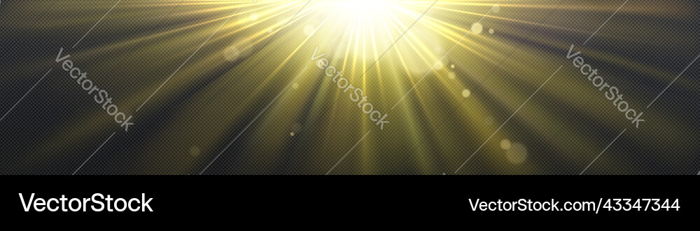 Sun light effect with yellow rays and lens glare Vector Image