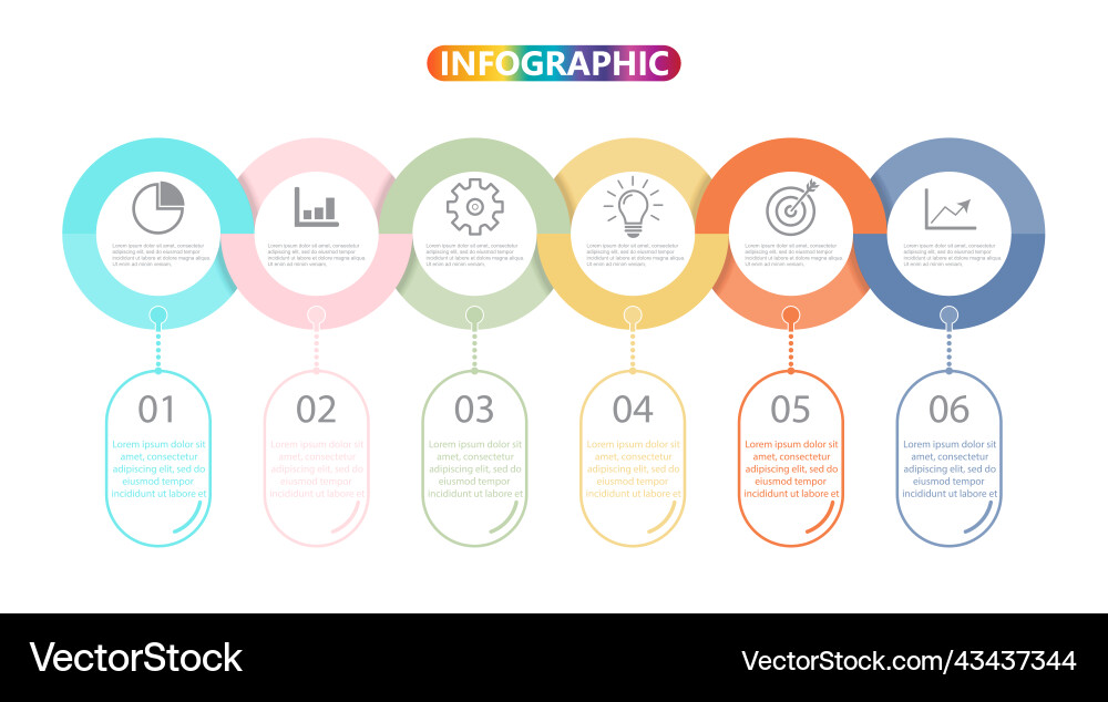 Template timeline infographic colored horizontal Vector Image
