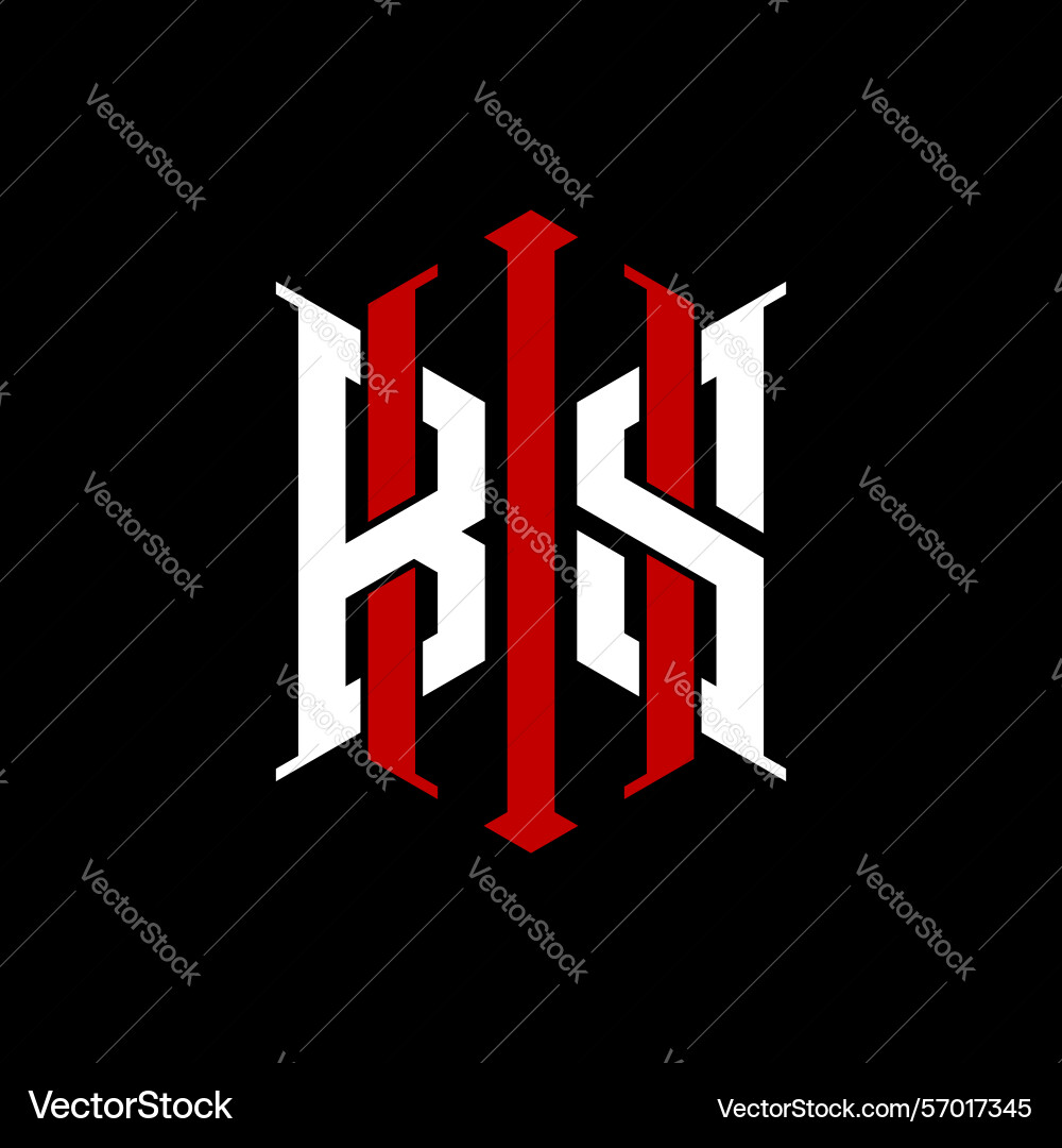 Bs initial geometric monogram logo elegant Vector Image