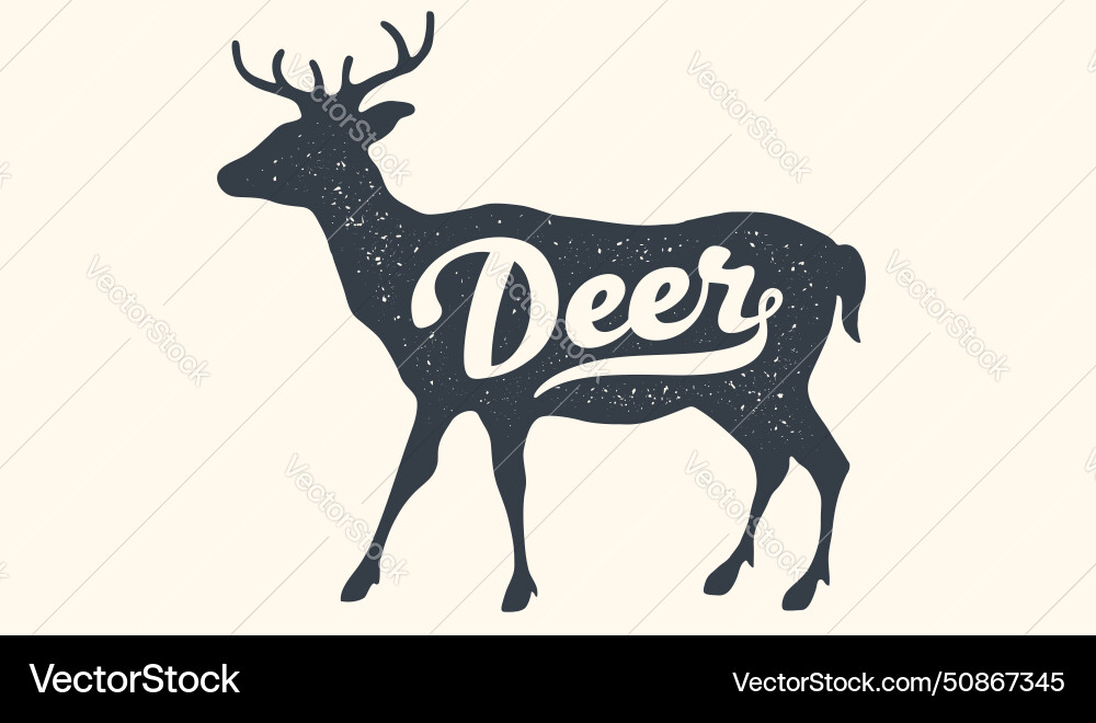 Deer lettering typography Royalty Free Vector Image