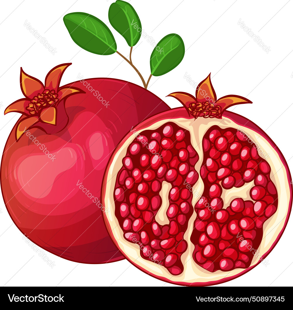 Garnet Royalty Free Vector Image - VectorStock