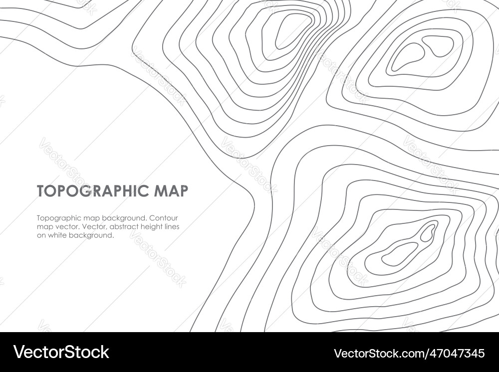 Topographic Map Grid Texture Royalty Free Vector Image