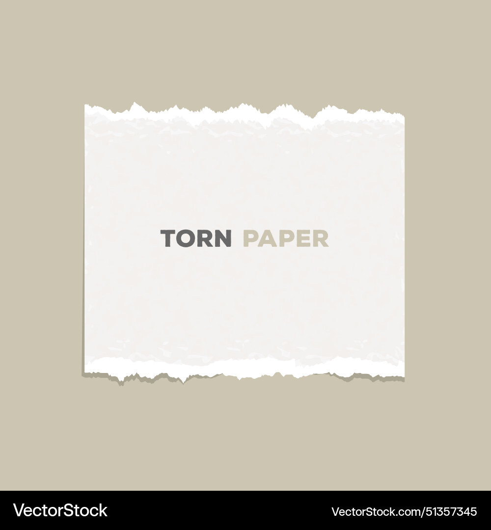Torn paper sheet Royalty Free Vector Image - VectorStock
