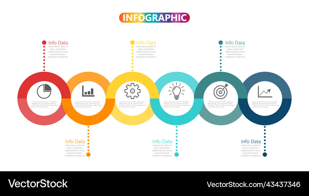 Template timeline infographic colored horizontal Vector Image