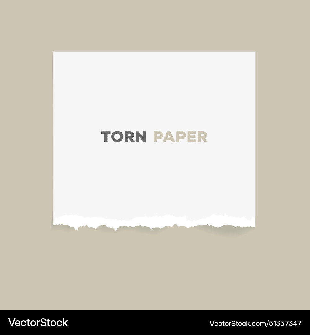 Torn paper sheet Royalty Free Vector Image - VectorStock