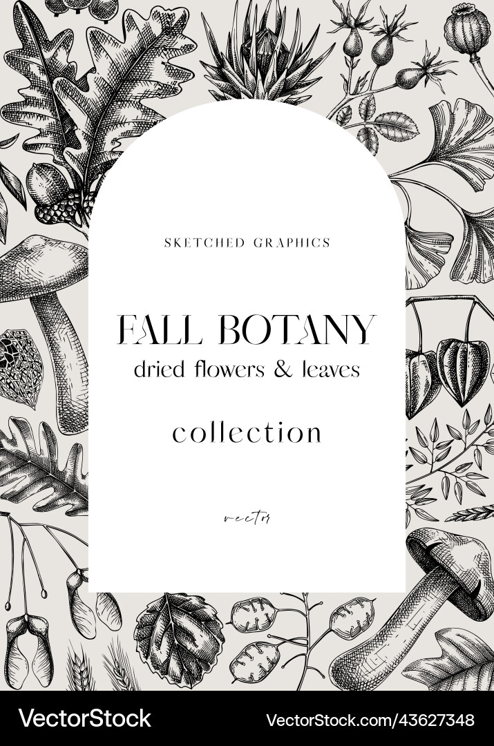 Autumn arc design with fall leaves and dried Vector Image