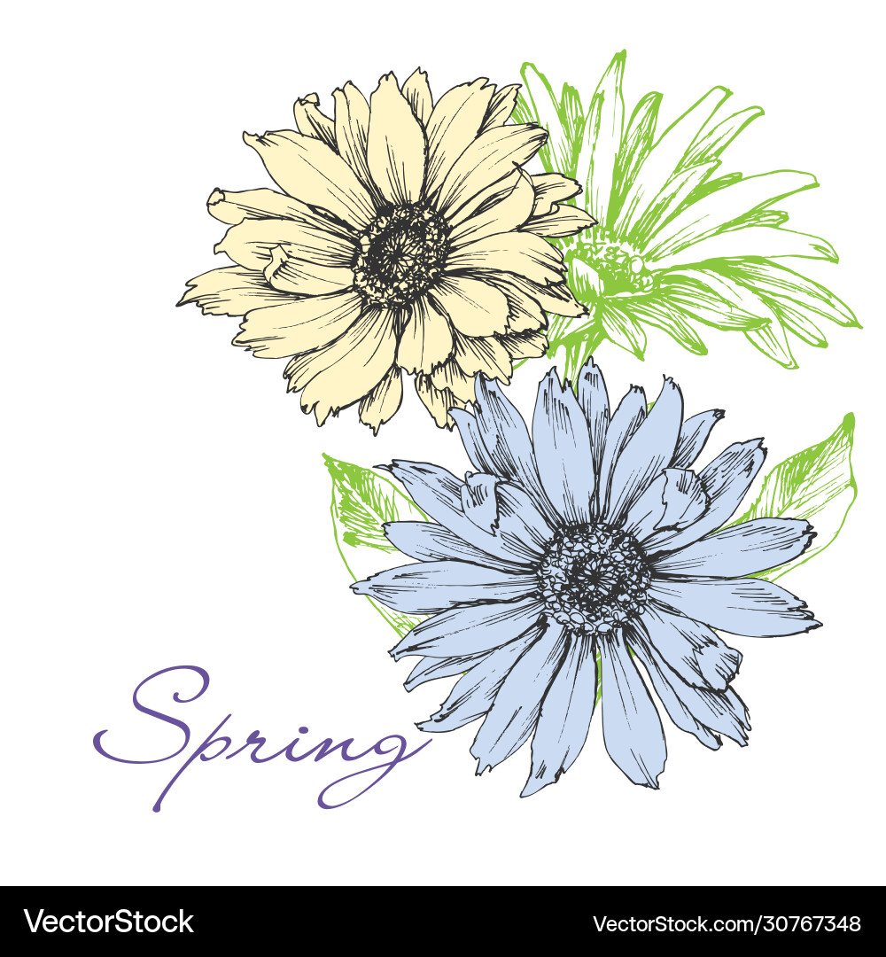 Floral background in spring colors flowers Vector Image
