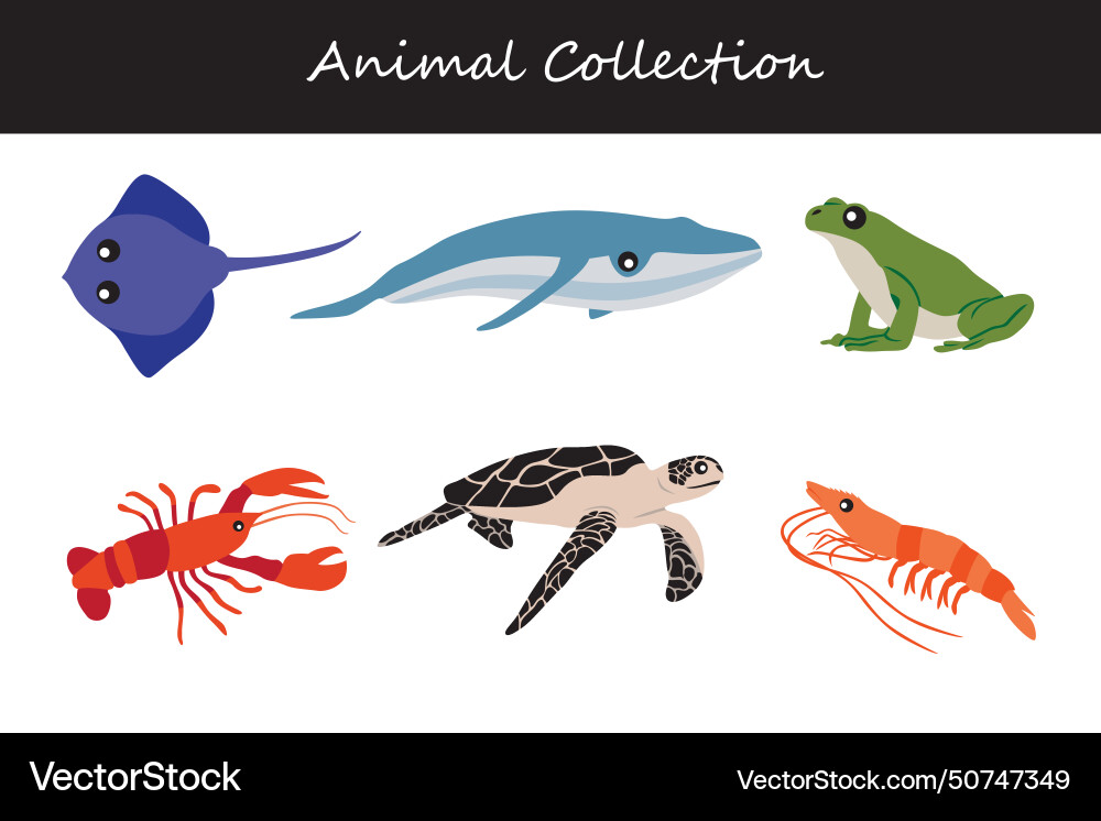 Animals collection isolated on white background Vector Image