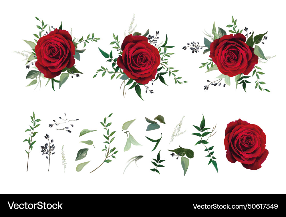 Red rose flower green leaves floral elements set Vector Image