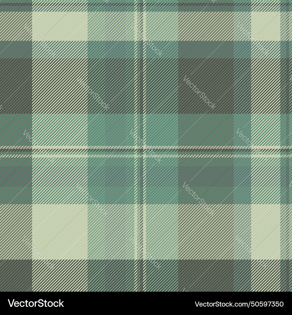 Fabric pattern of check seamless background Vector Image