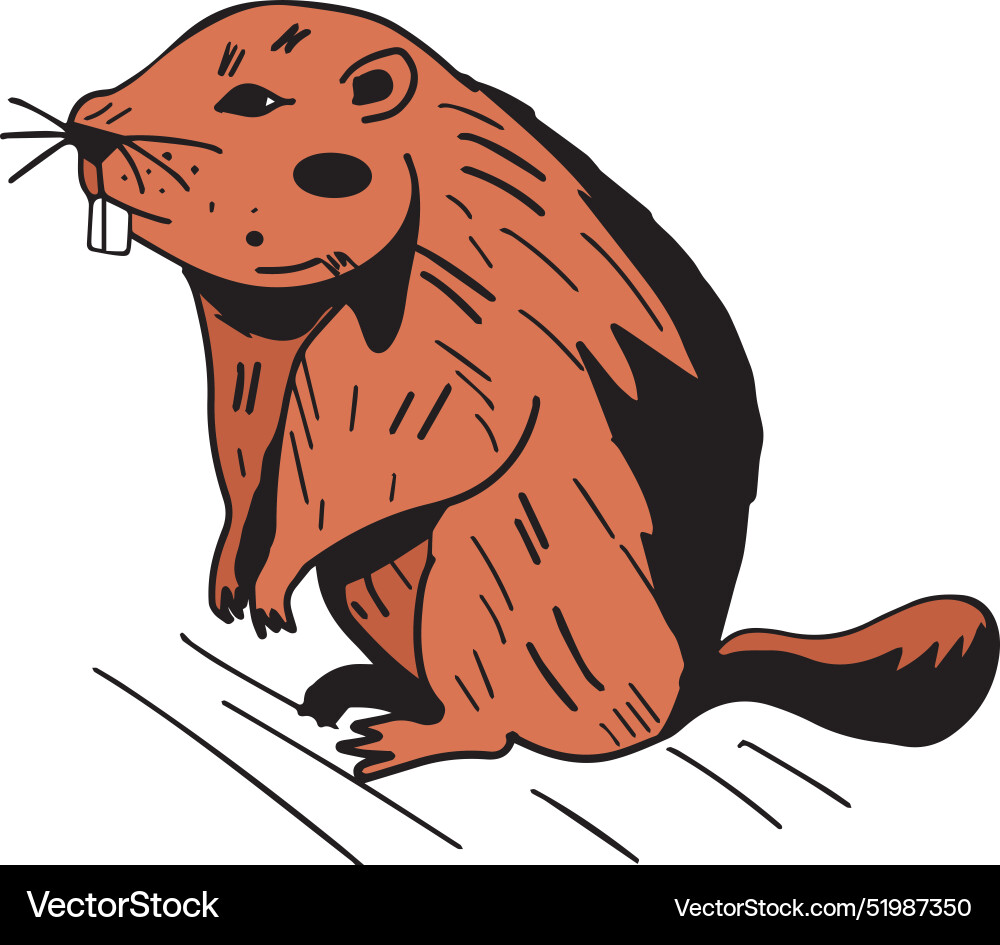 Hand drawn with beaver Royalty Free Vector Image