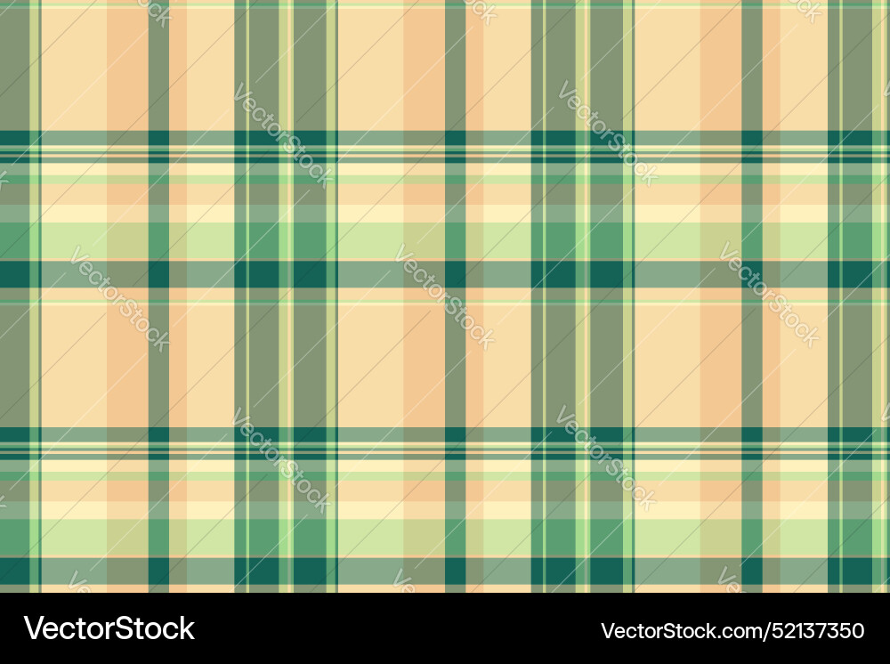 Herringbone background texture tartan lined Vector Image
