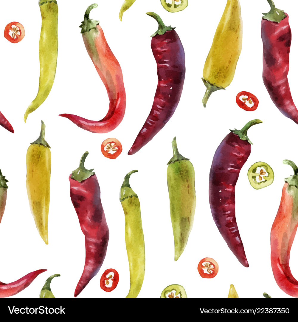 Hot chili pepper pattern Royalty Free Vector Image
