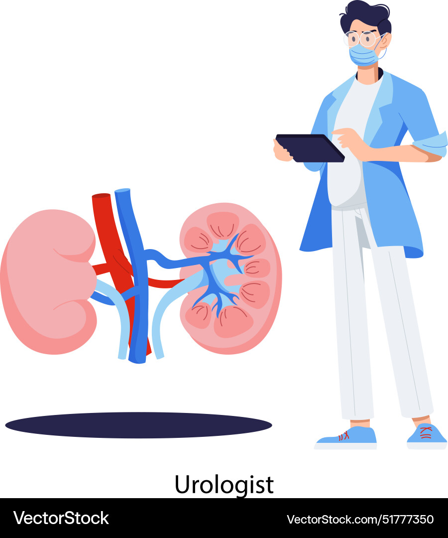 Urologist Royalty Free Vector Image - VectorStock