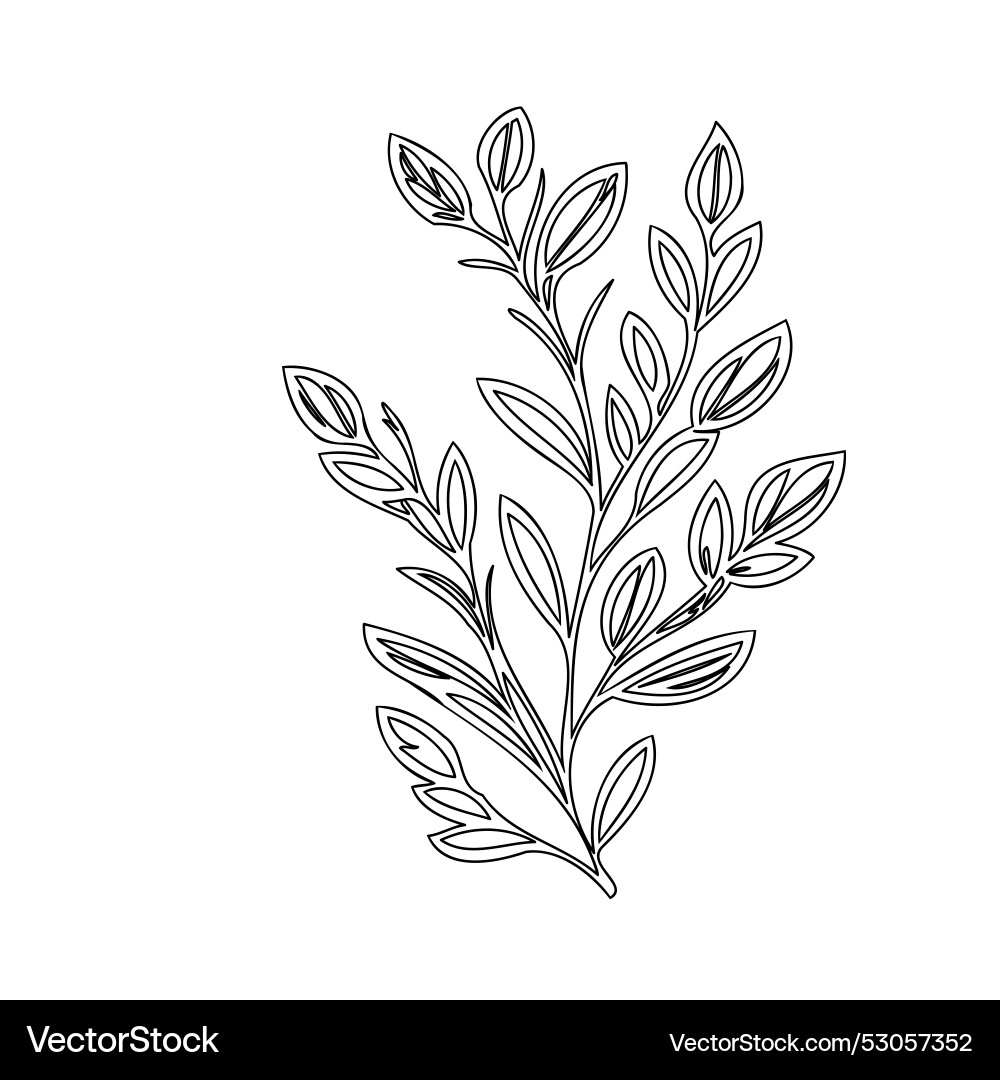 Heather flower plant sketch outline Royalty Free Vector