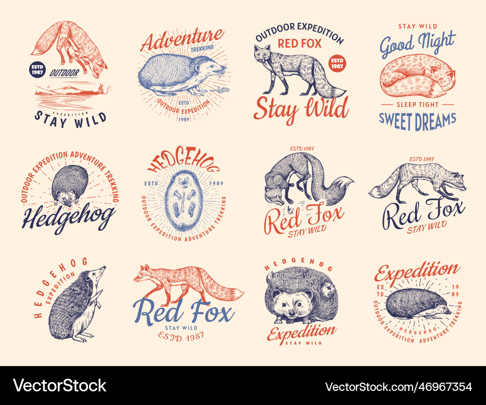 Red fox and hedgehog badges set forest ginger Vector Image