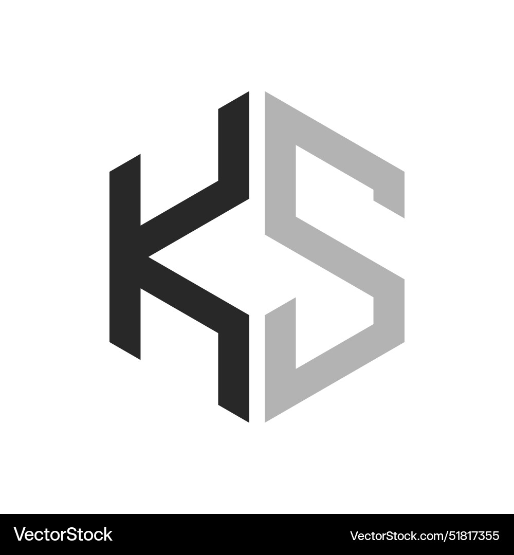 Modern unique hexagon letter ks logo design Vector Image