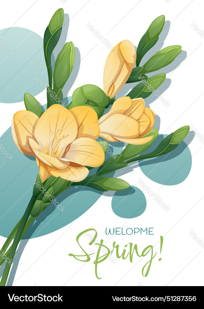 Greeting card template with spring flowers banner Vector Image