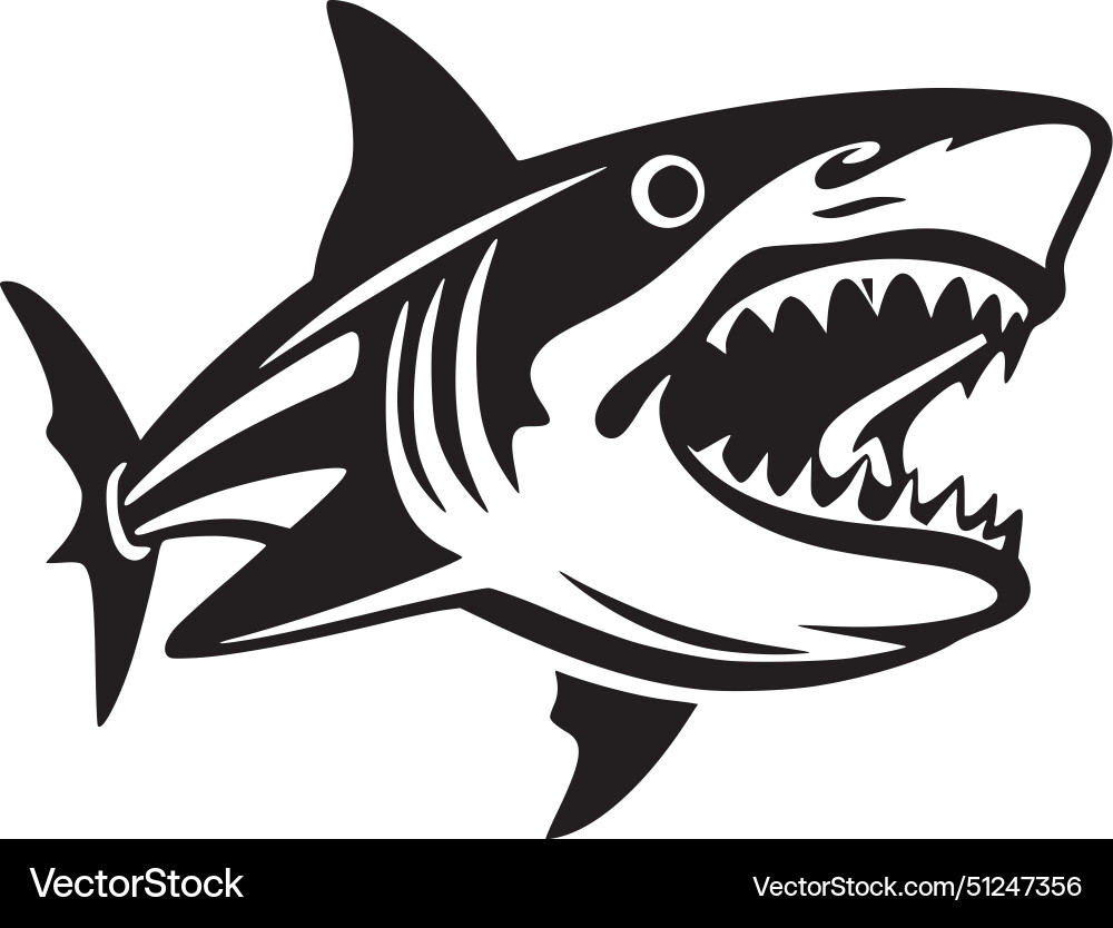 Shark - high quality logo ideal for t-shirt Vector Image