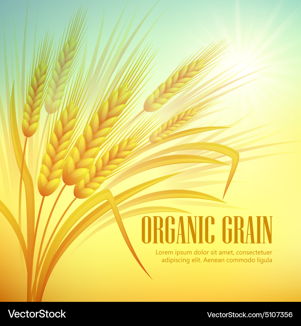 Wheat Field Background