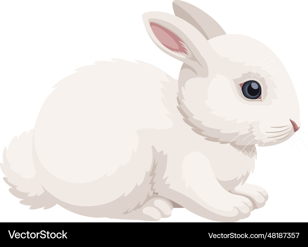 Rabbit Side View Swamp Rabbit Surprise At Sequoyah National Wildlife