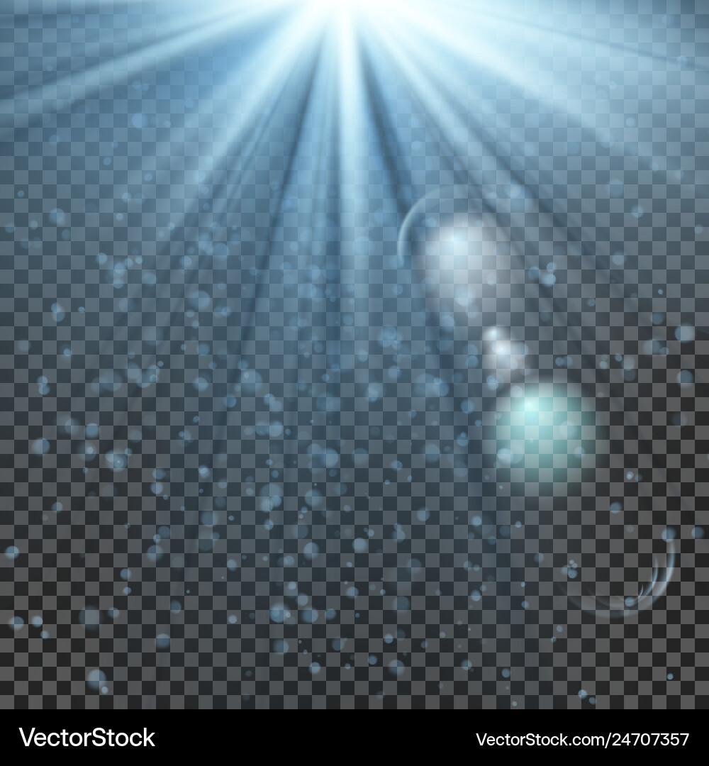 Falling snow effect isolated on transparent Vector Image