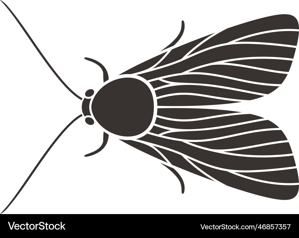 Moth Royalty Free Vector Image - VectorStock