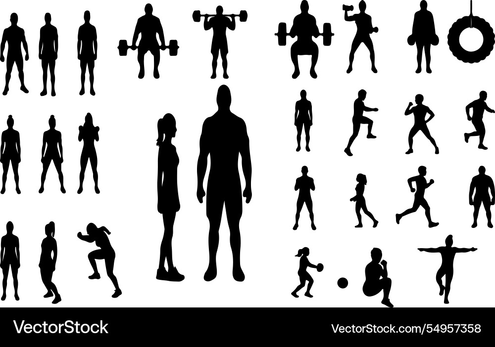 Excersise Royalty Free Vector Image - VectorStock
