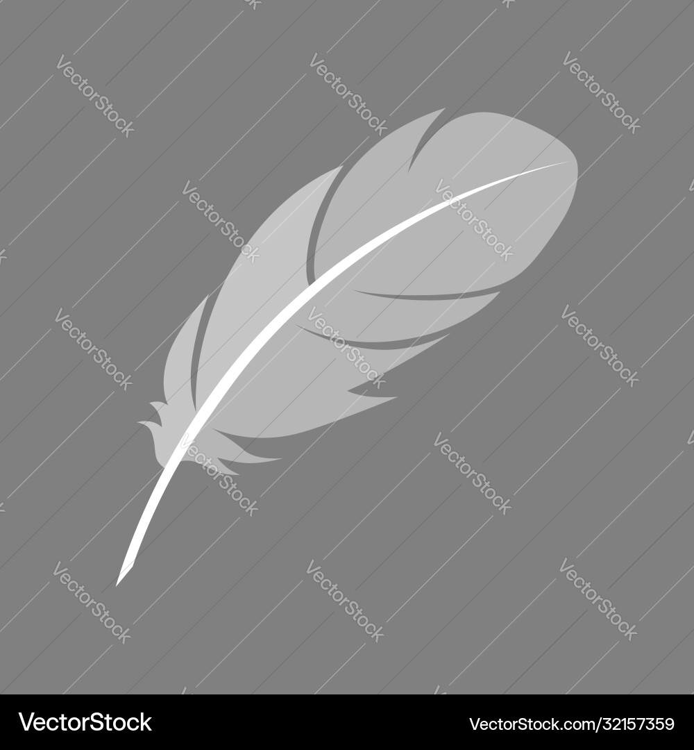 Feather Royalty Free Vector Image - VectorStock