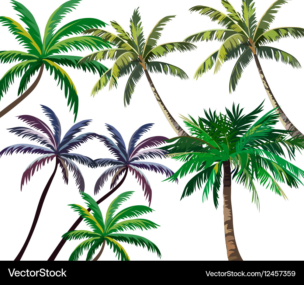 Set of tropical palm trees Royalty Free Vector Image