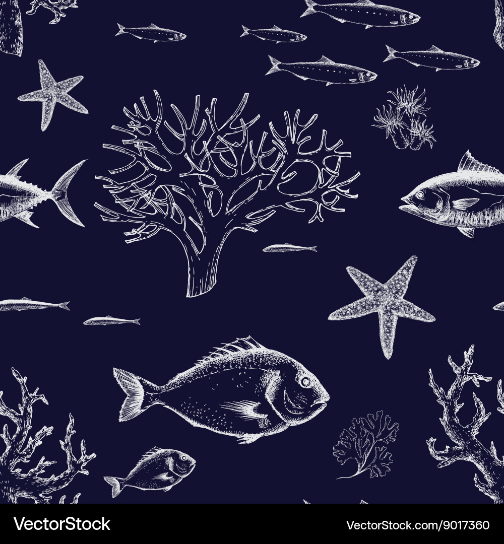 Sea life pattern Royalty Free Vector Image - VectorStock